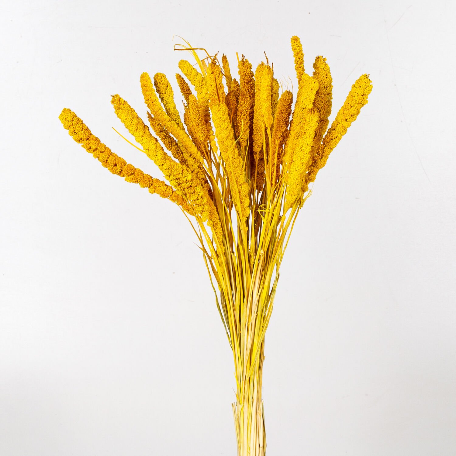 Kuru Bitki Seterya/Boncuk Sarı 50 Cm. - Kuru Bitkiler ve Doğal Dallar ...